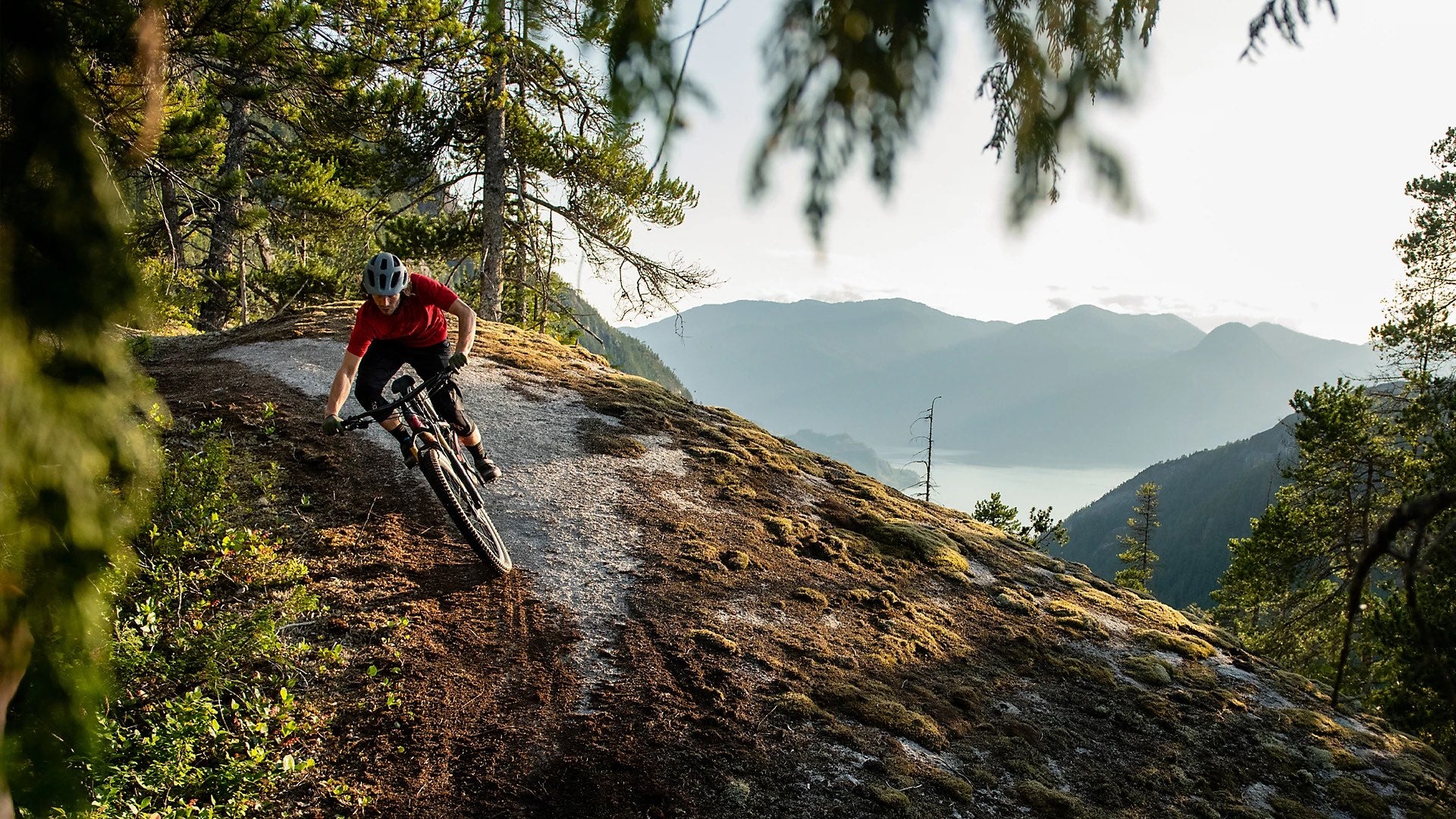 Trek – BikeWorld